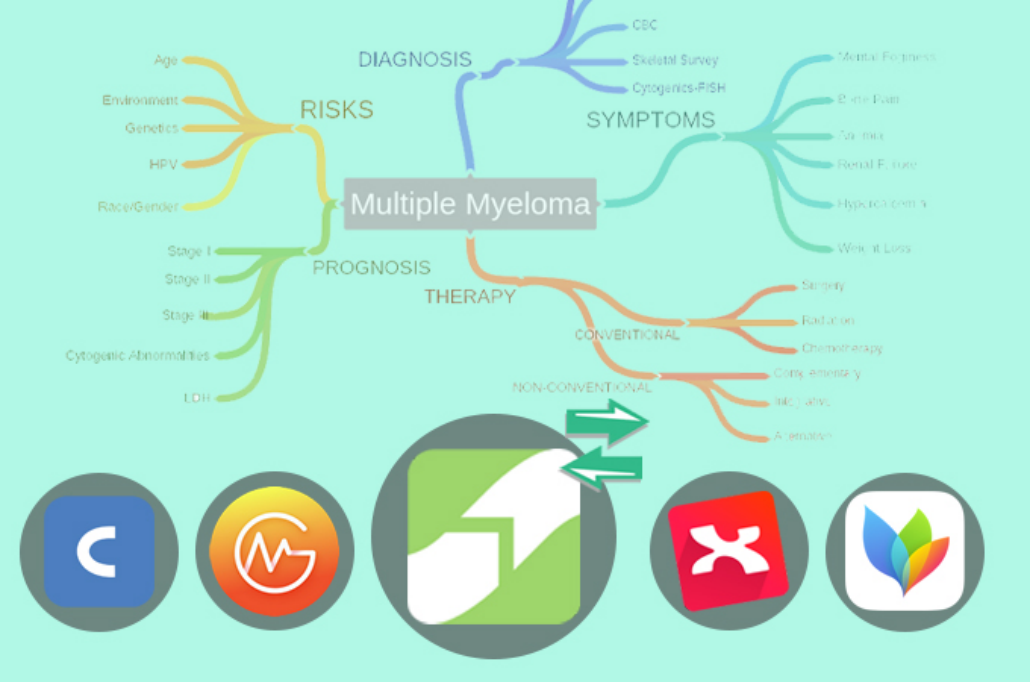 MindMeister vs. Coggle: The Ultimate Showdown in Web-Based Mind Mapping Tools